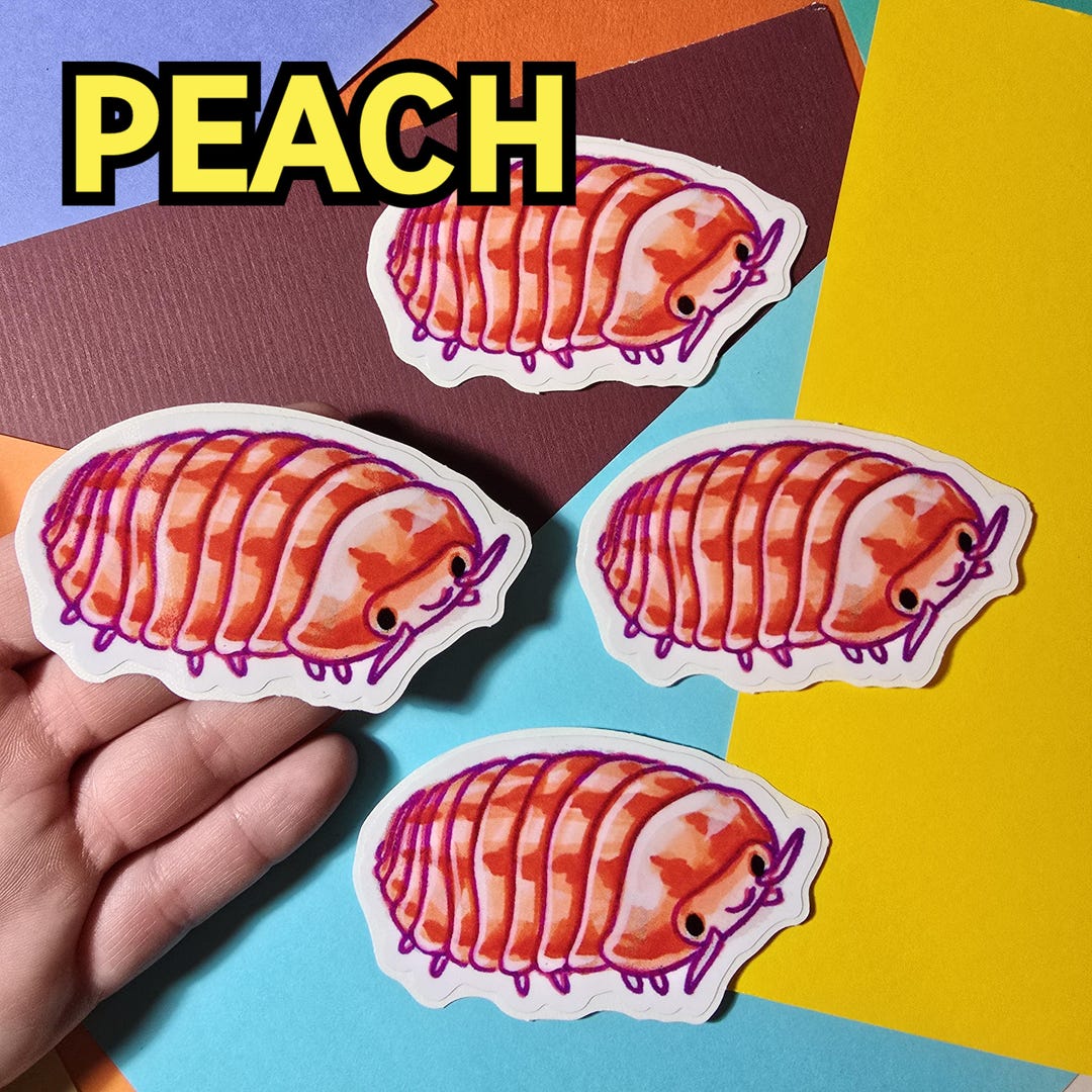 Peach Isopod Vinyl Sticker - Etsy