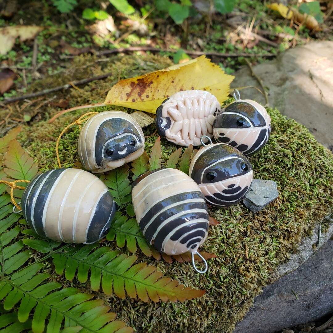 Panda King Isopod Cubaris Isopod Ornament - Etsy