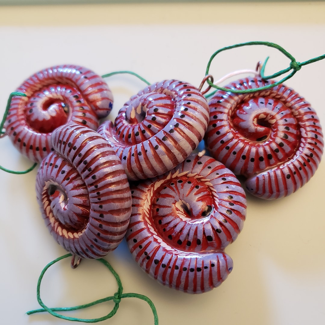 Thai Rainbow Millipede Ornament Color Variant 1 - Etsy