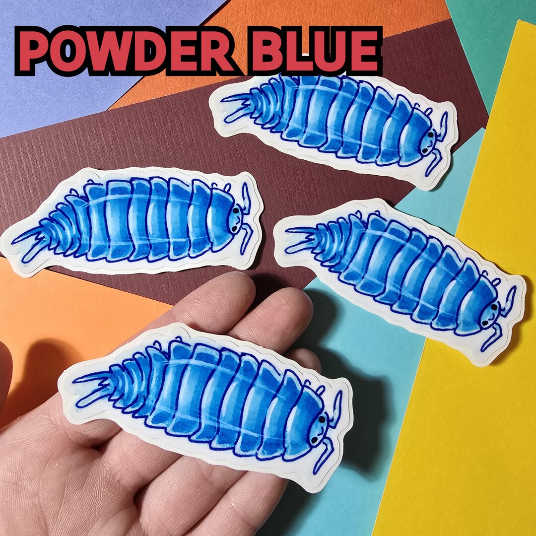 Powder Blue Isopod Vinyl Sticker - Etsy