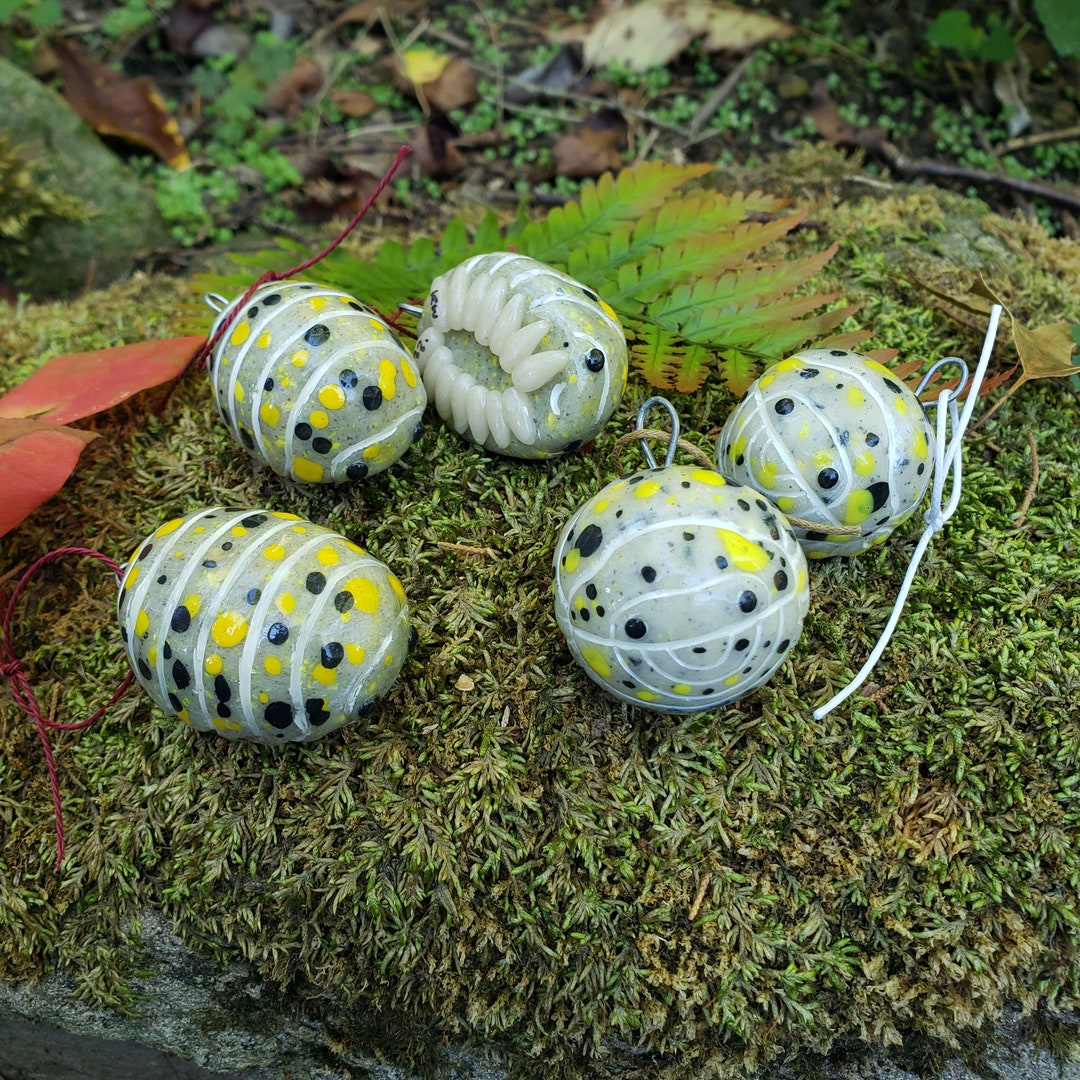 Magic Potion Isopod A. Vulgare Isopod Ornament - Etsy