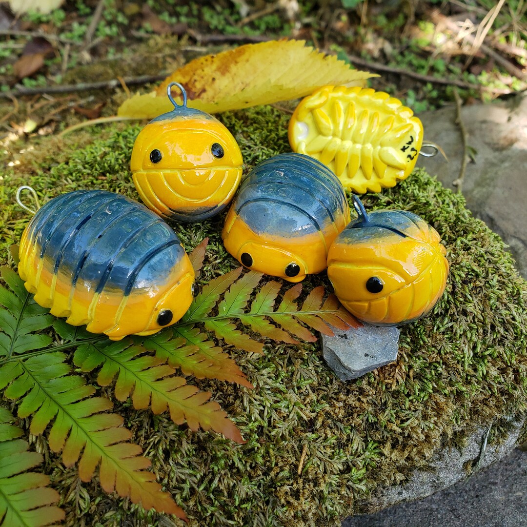 Lemon Blue Isopod Cubaris Isopod Ornament - Etsy