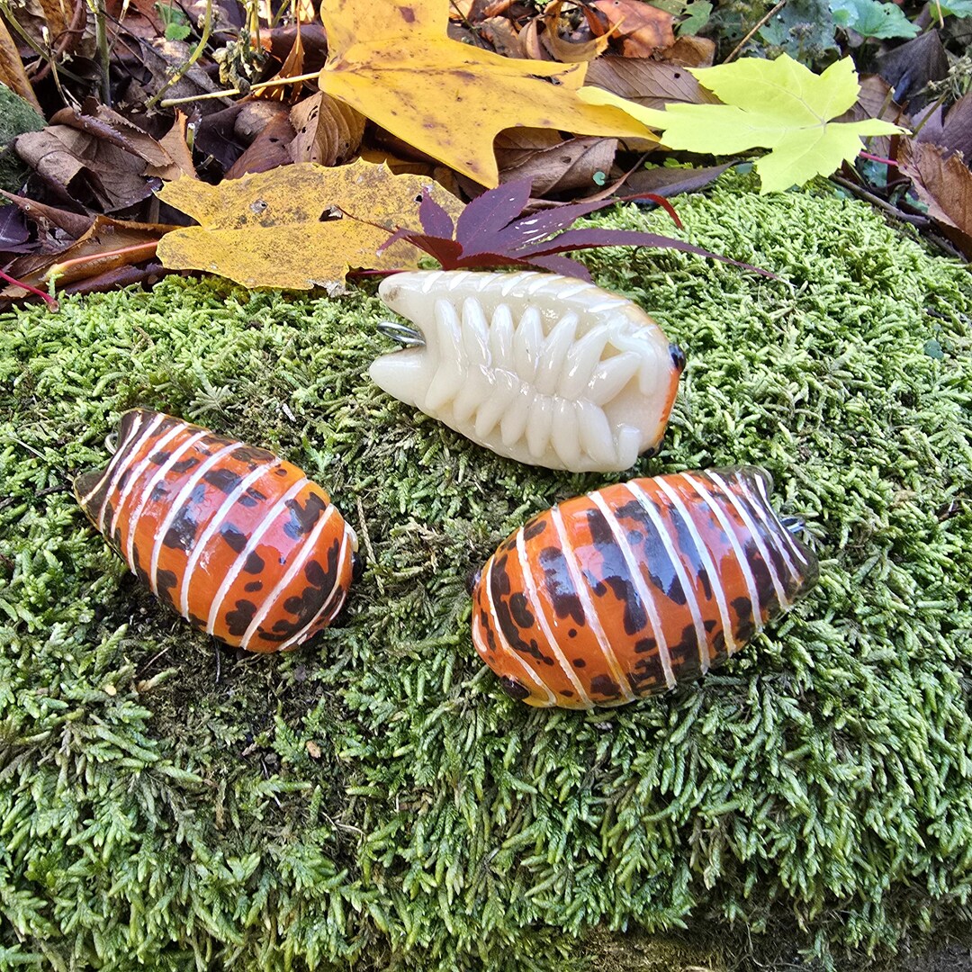 Lava Isopod P. Scaber Isopod Ornament - Etsy