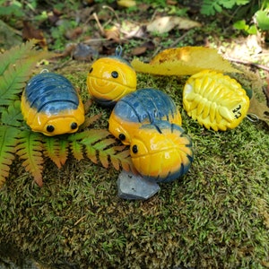 Lemon Blue Isopod Cubaris Isopod Ornament - Etsy