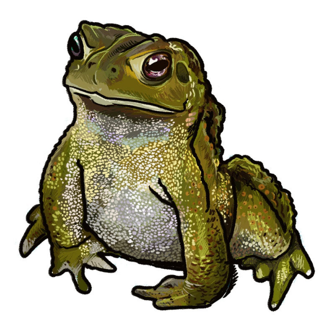 Tall Toad Sticker - Etsy