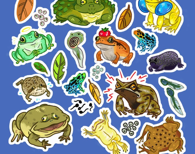 Frogs Sticker Sheet | Etsy