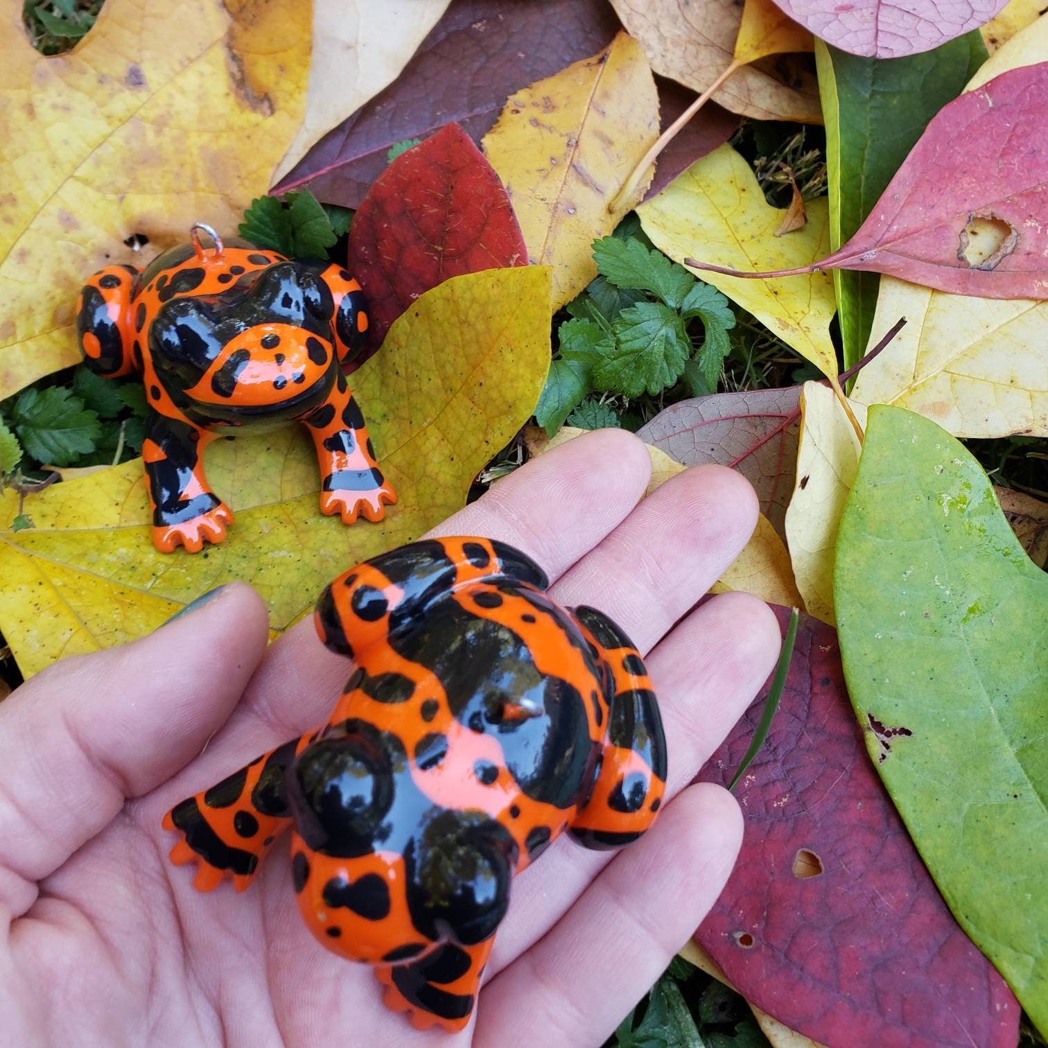 Orange And Black Poison Dart Frog