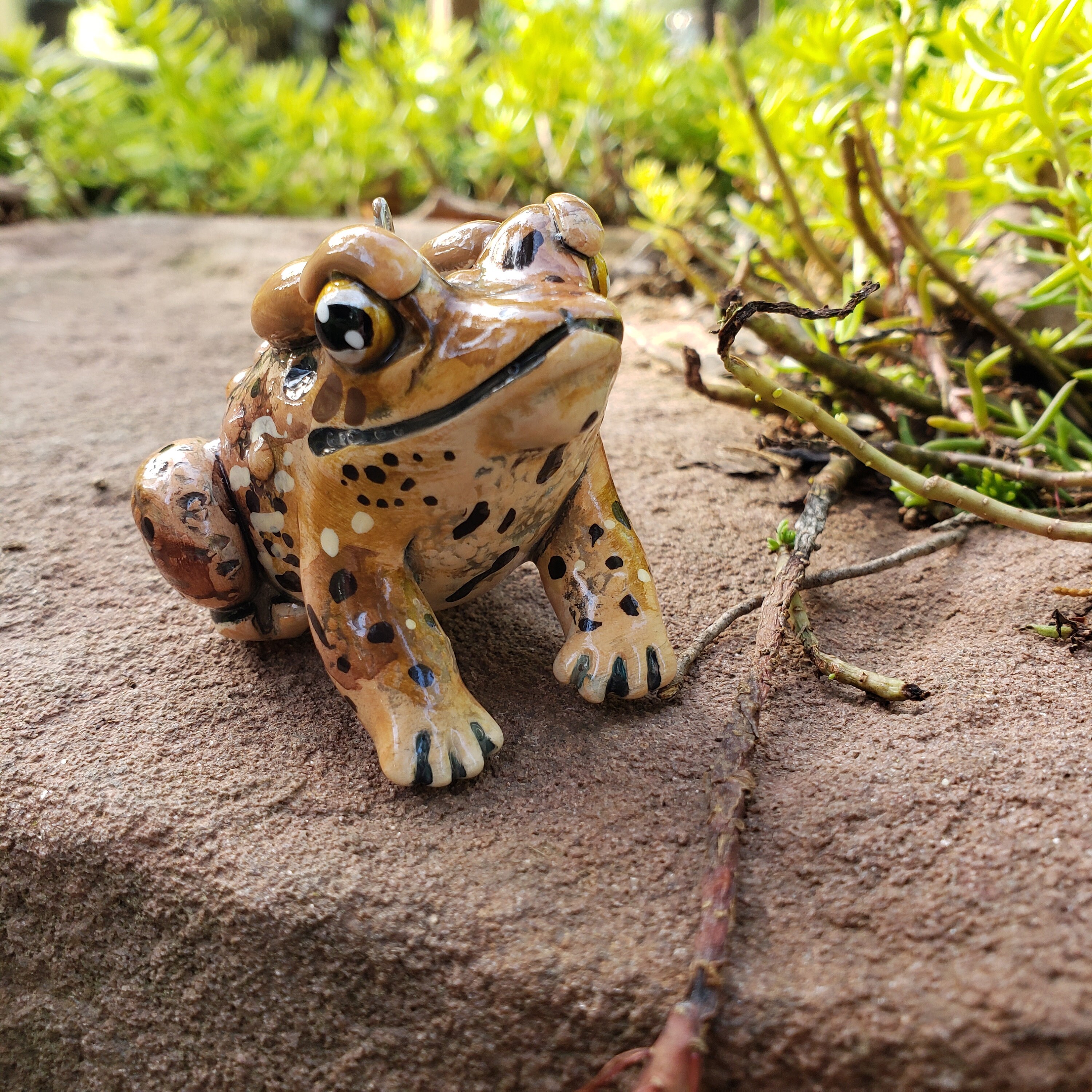 Eastern American Toad Christmas Ornament | Etsy