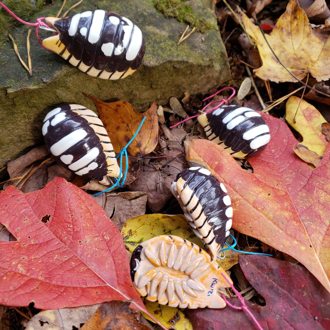 Beetlejuice Isopod P. Expansus Isopod Ornament - Etsy