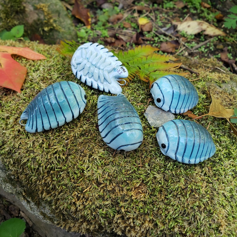 Powder Blue Isopod P. Pruinosus Isopod Ornament - Etsy