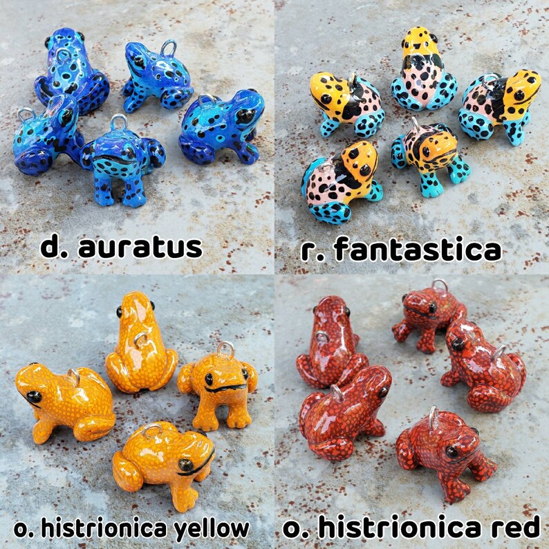 Dart Frog Charms 32 Species to Choose From - Etsy