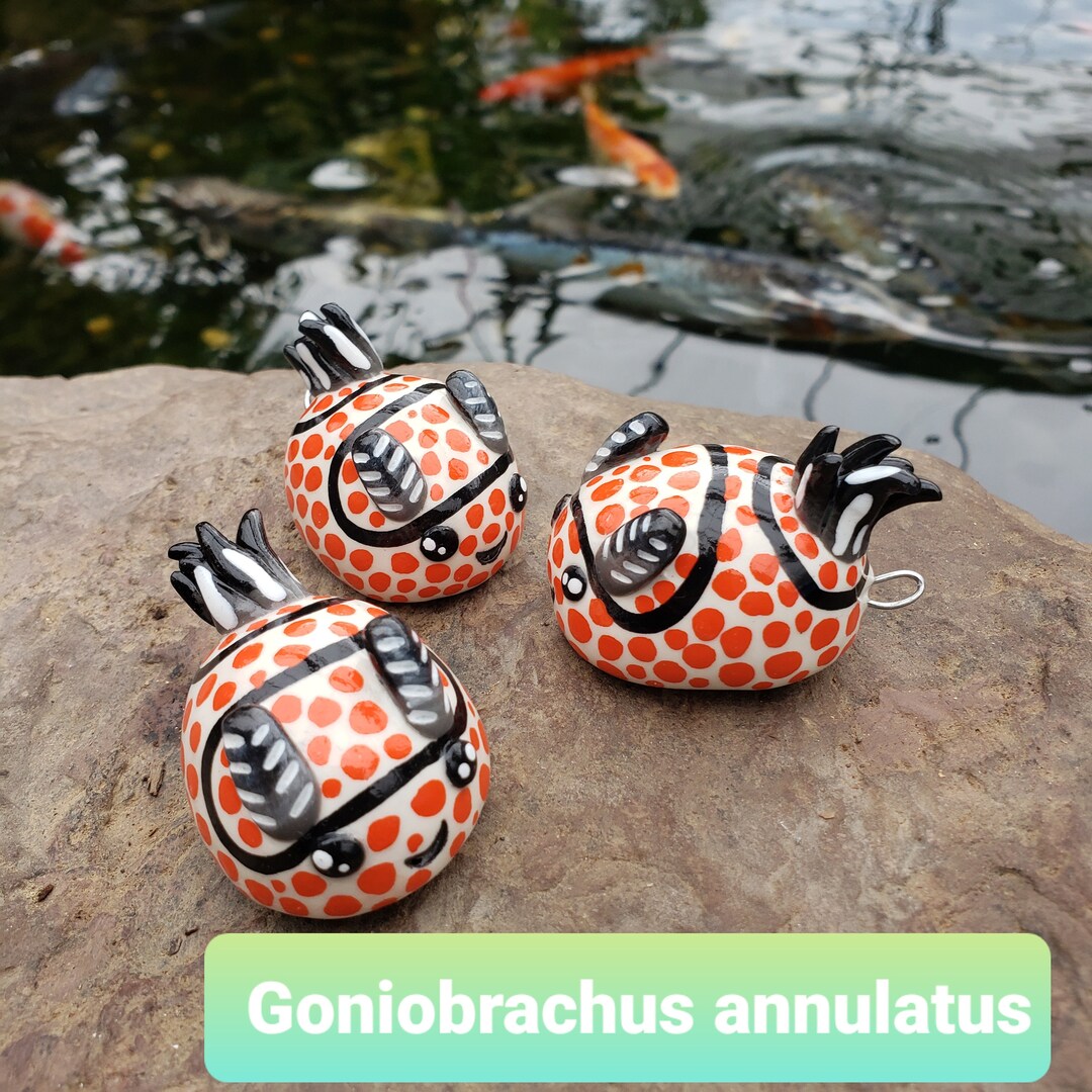 Nudibranch Sea Slug Christmas Ornament Goniobrachus Annulatus - Etsy