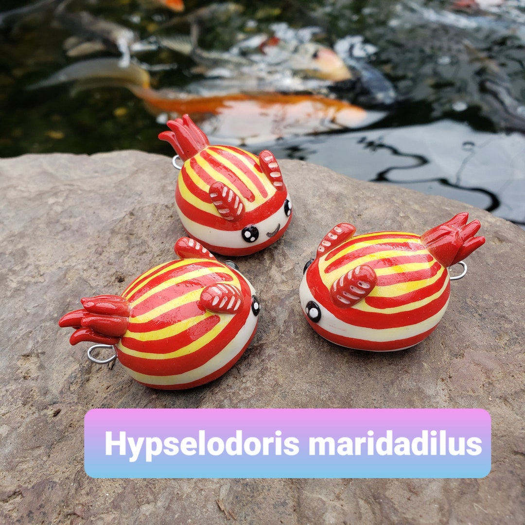 Nudibranch Sea Slug Christmas Ornament Hypselodoris Maridadilus - Etsy