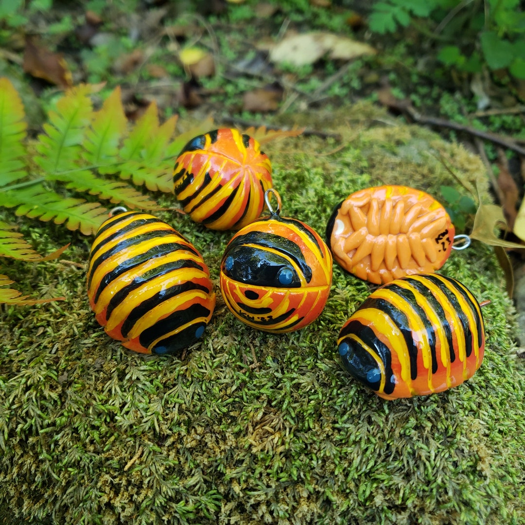 Ember Bee Isopod Merulanella Isopod Ornament - Etsy