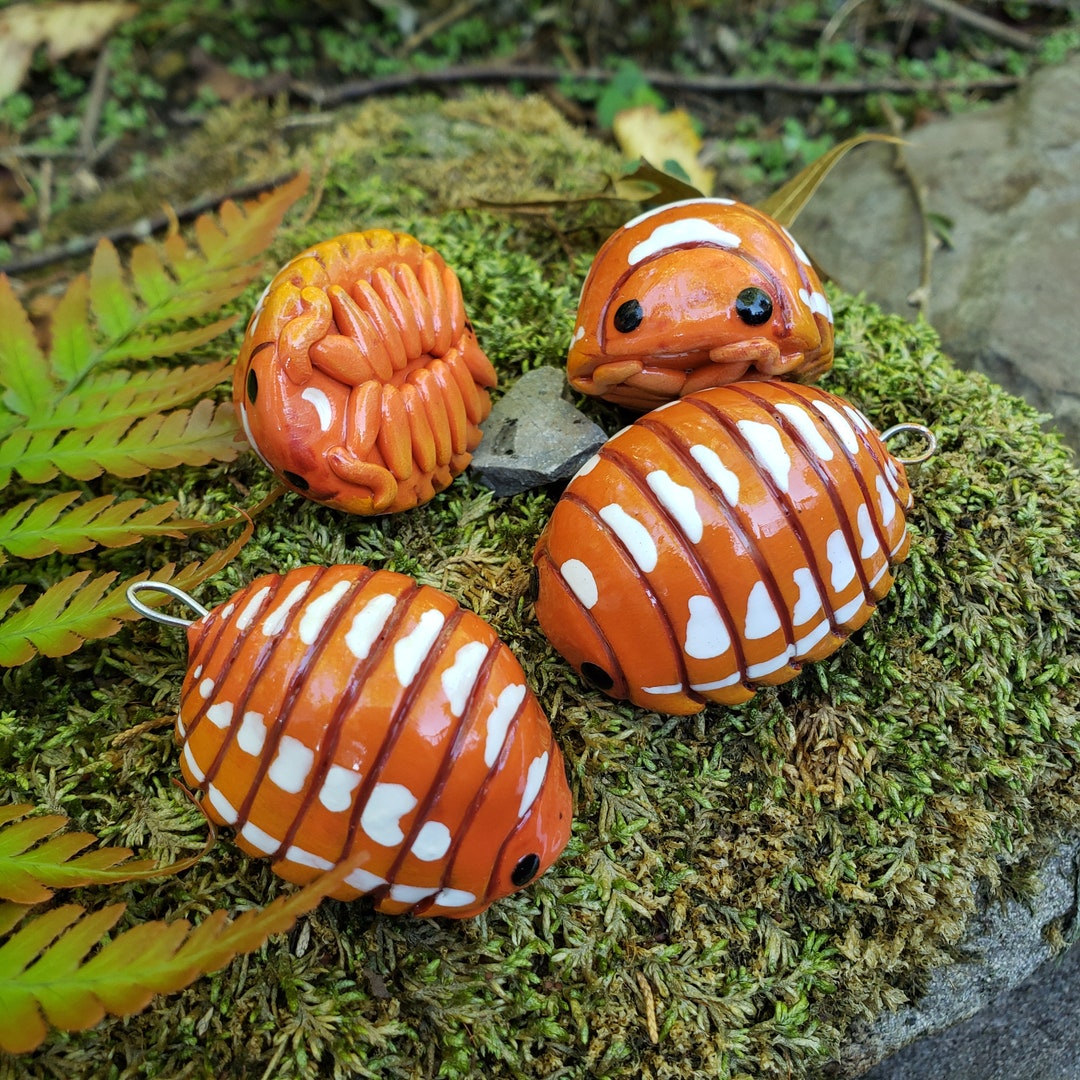 Orange Werneri Isopod A. Werneri Isopod Ornament - Etsy