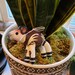 Okapi Christmas Ornament - Etsy