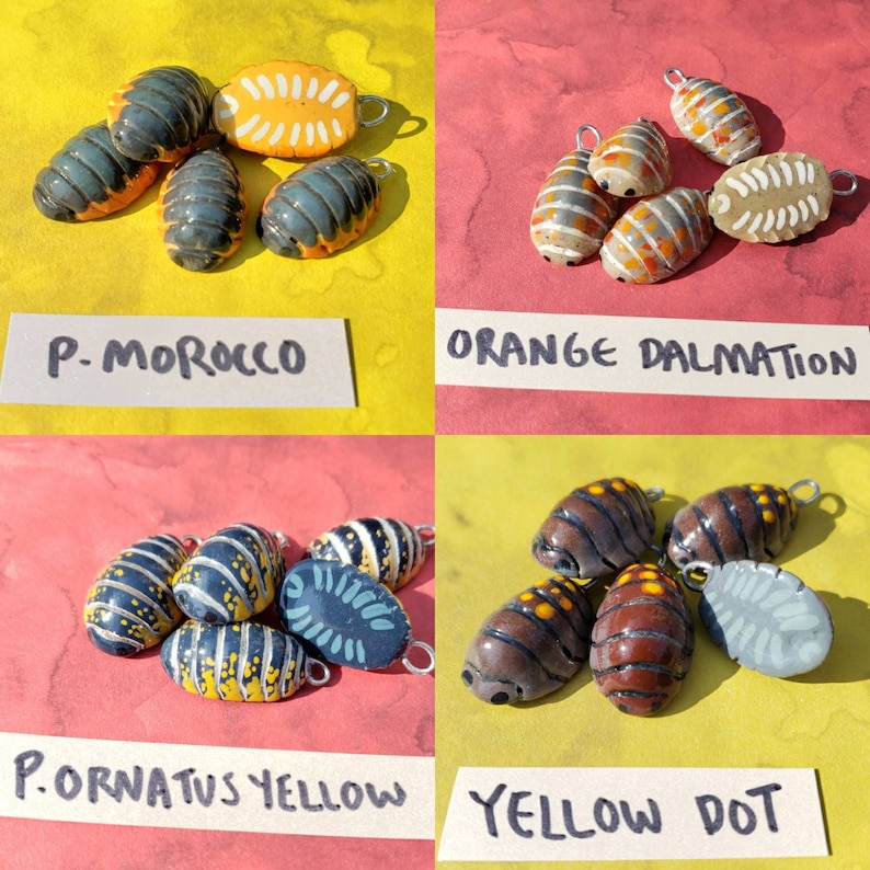 Isopod Charms 30 Breeds to Choose From - Etsy