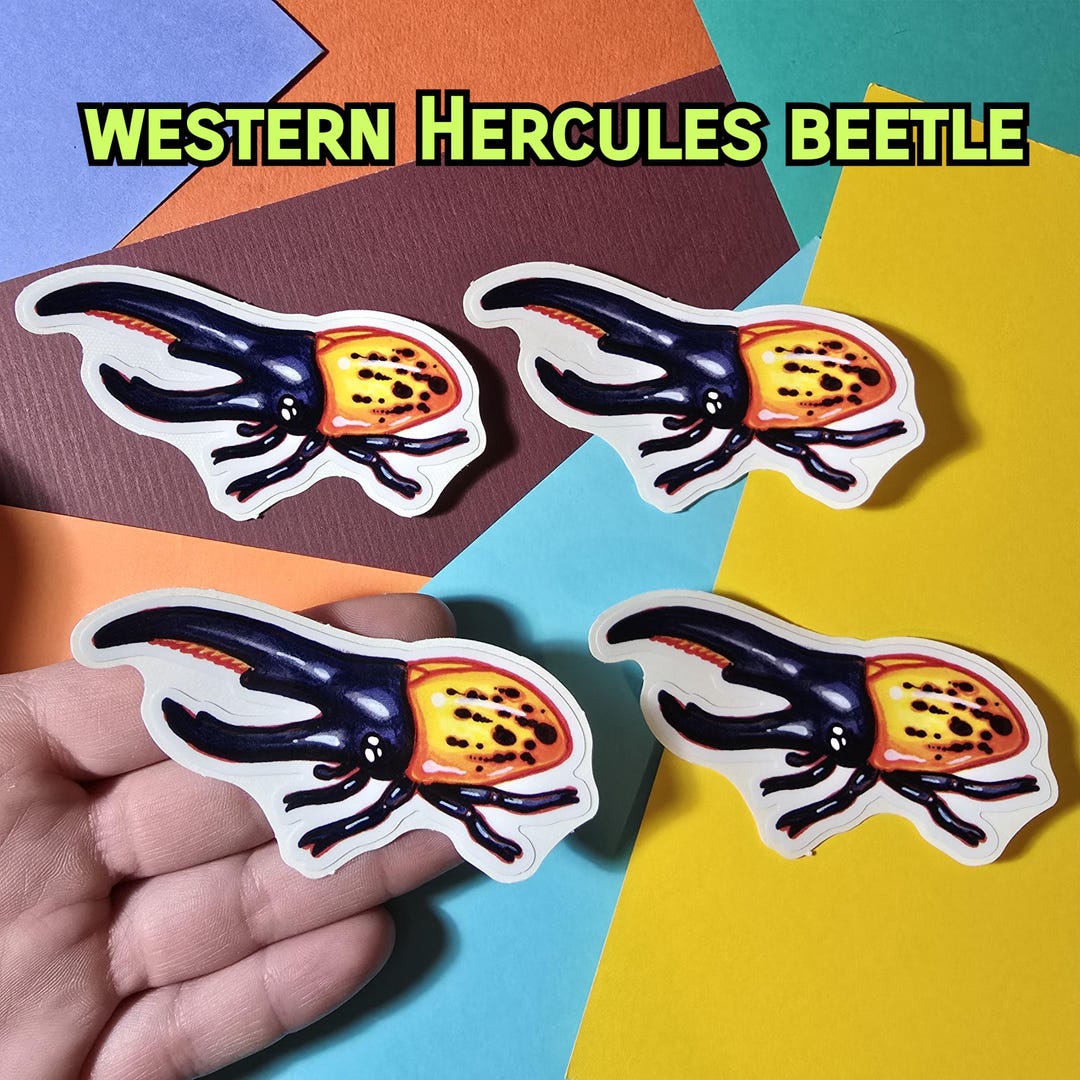 Western Hercules Beetle Vinyl Sticker - Etsy