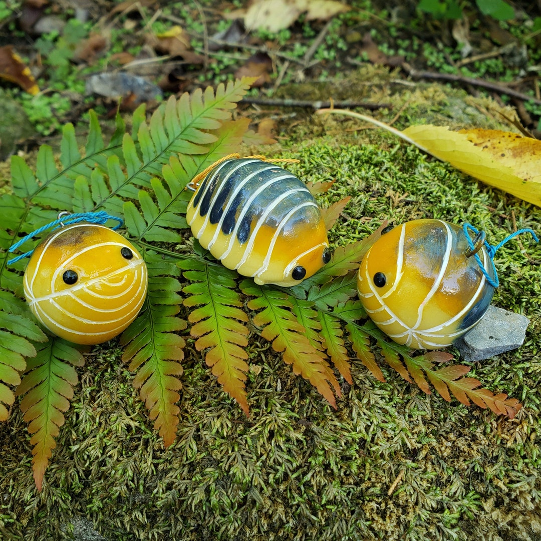Jupiter Isopod Cubaris Isopod Ornament - Etsy