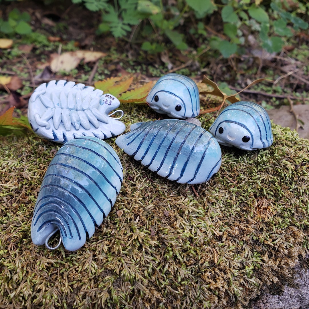 Powder Blue Isopod P. Pruinosus Isopod Ornament - Etsy