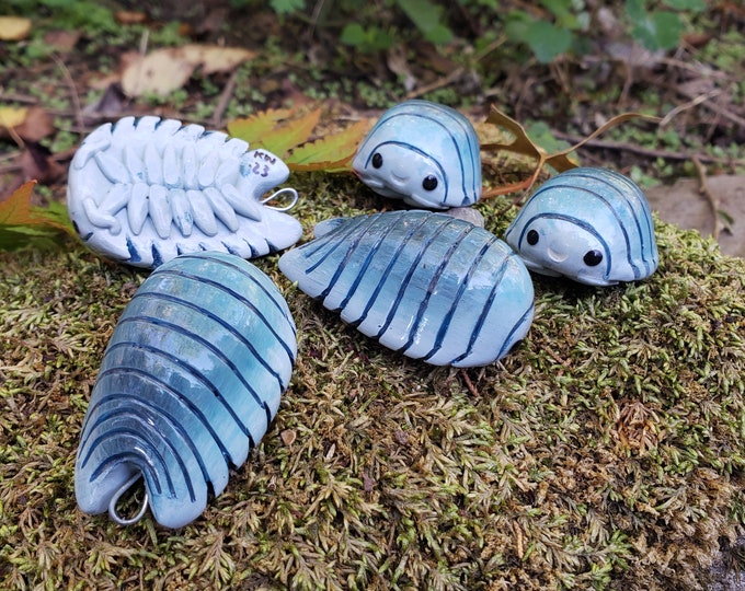 Powder Blue Isopod P. Pruinosus Isopod Ornament - Etsy