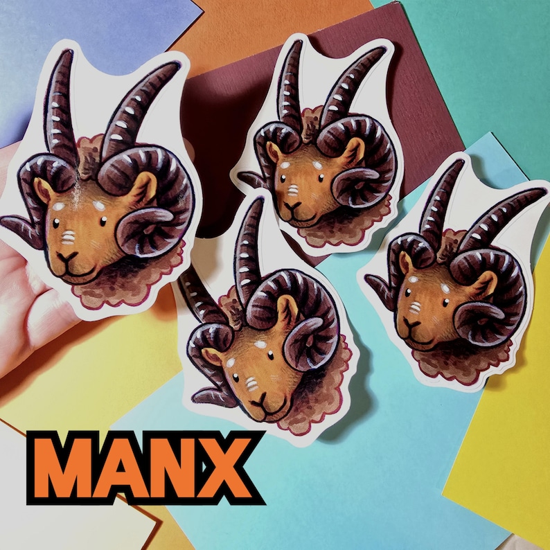 Manx Sheep Vinyl Sticker - Etsy