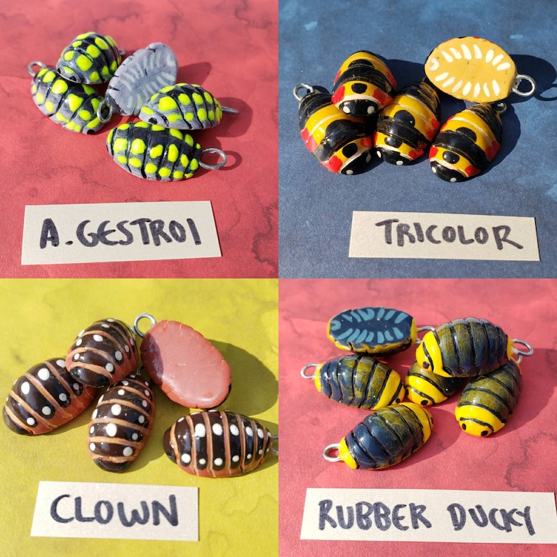 Isopod Charms 30 Breeds to Choose From - Etsy