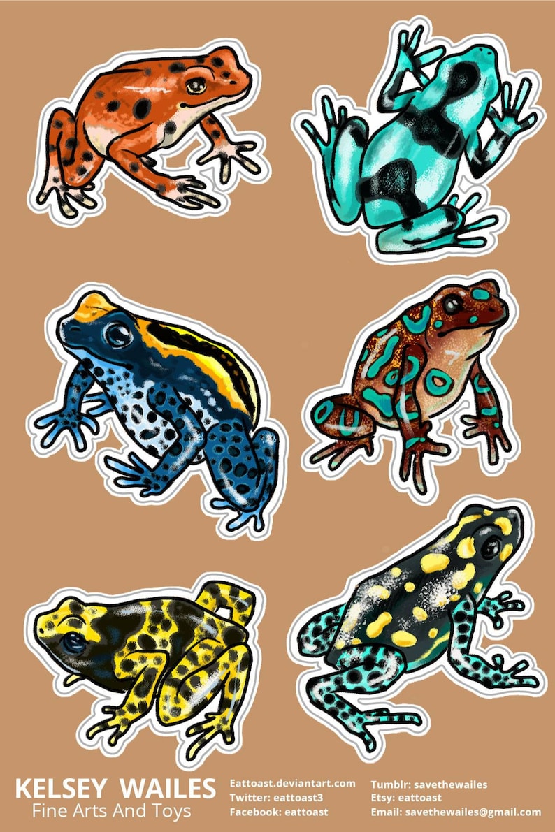 Dart Frogs Sticker Set - Etsy