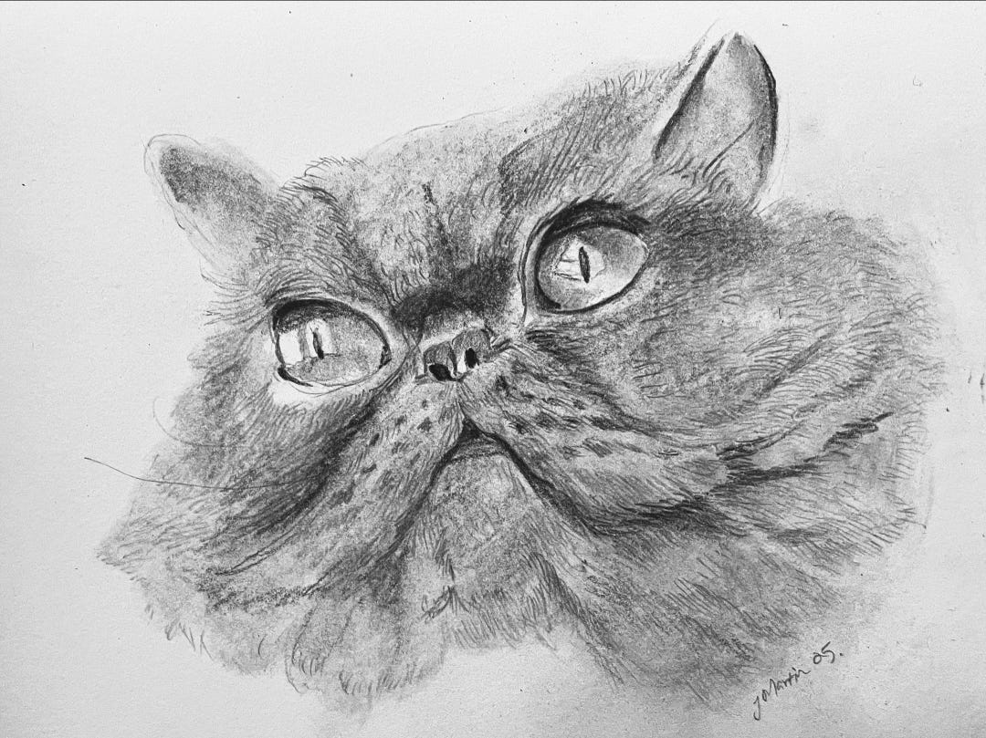 A5 Original Drawing of a Persian - Etsy