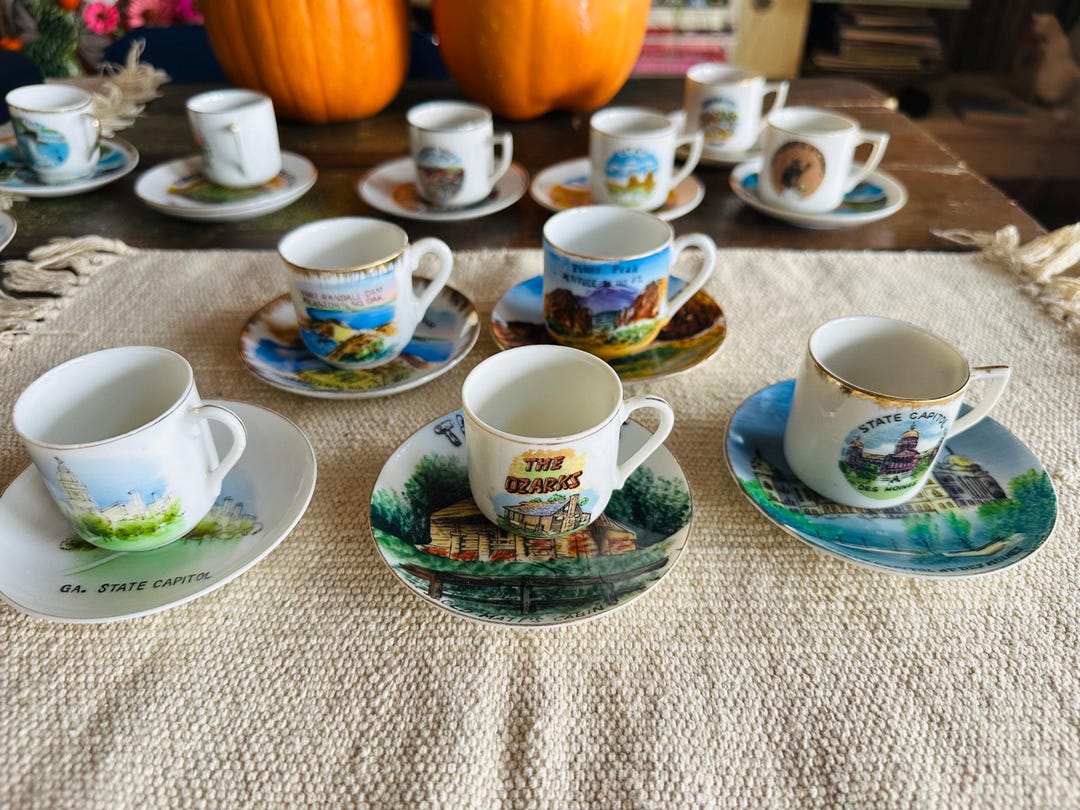 Vintage State Souvenir Mini Cup & Saucer: Hand-painted Swope Park ...