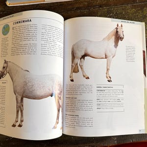 Vintage Book HORSE BREEDS Hard Cover Great HORSE Encyclopedia Guide W ...