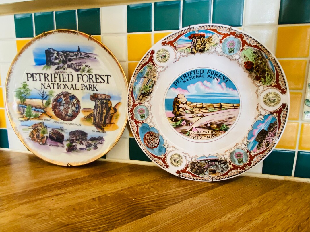 Pr PETRIFIED FOREST Plates SOUVENIR Wall Hanging Dishes Vintage Arizona ...