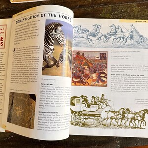 Vintage Book HORSE BREEDS Hard Cover Great HORSE Encyclopedia Guide W ...