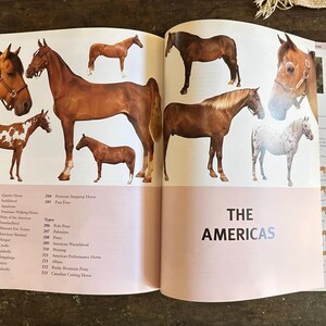 Vintage Book HORSE BREEDS Hard Cover Great HORSE Encyclopedia Guide W ...