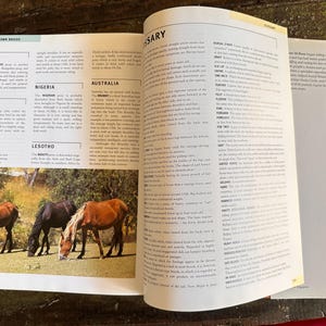 Vintage Book HORSE BREEDS Hard Cover Great HORSE Encyclopedia Guide W ...