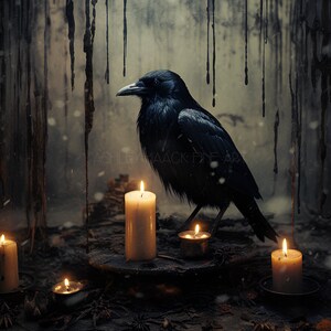 The Raven | Triptych | Photo Prints | Edgar Allan Poe Portrait ...