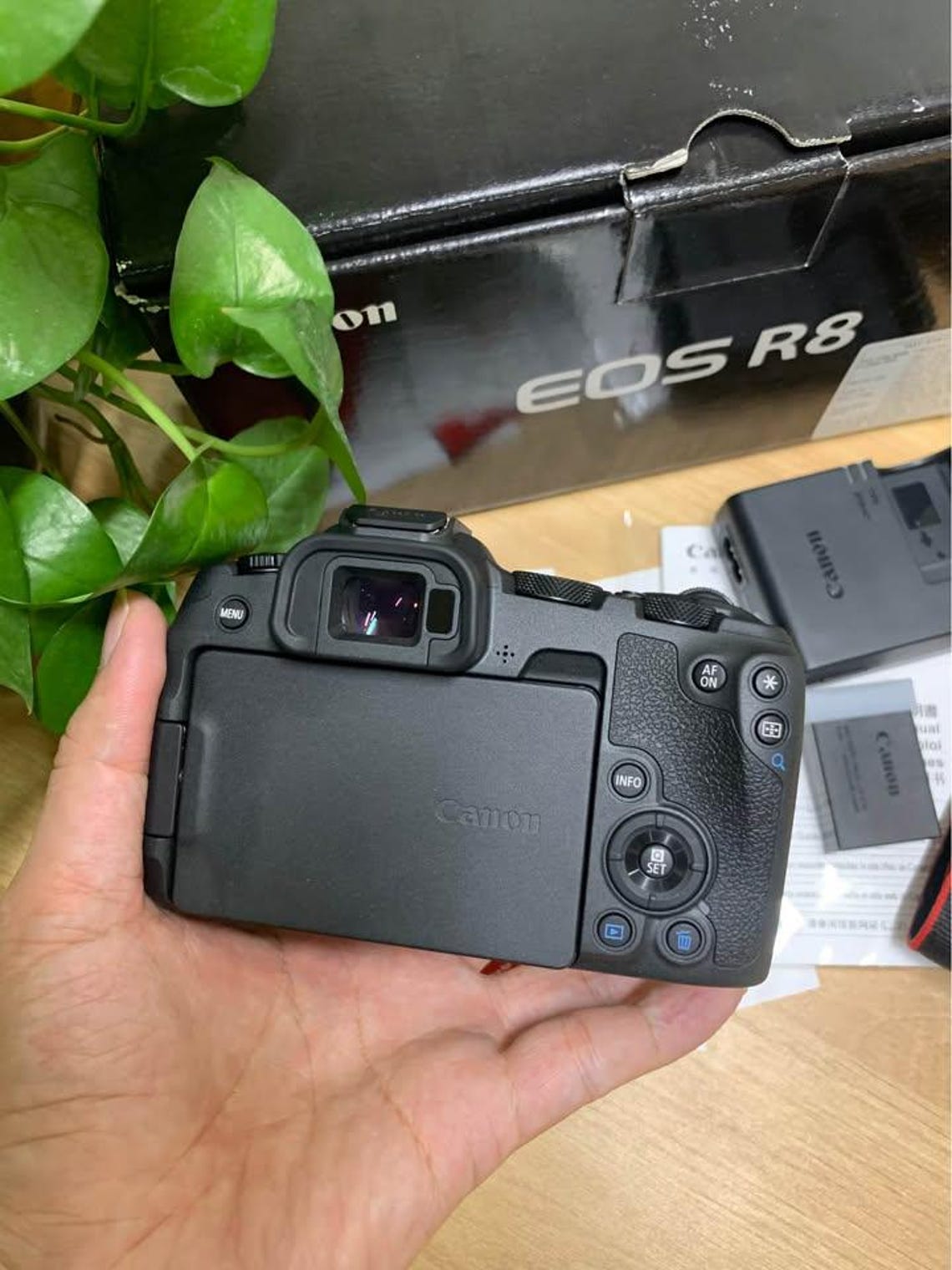 Canon EOS R8 Mirrorless Camera – Full-frame, 4K Video, Lightweight ...