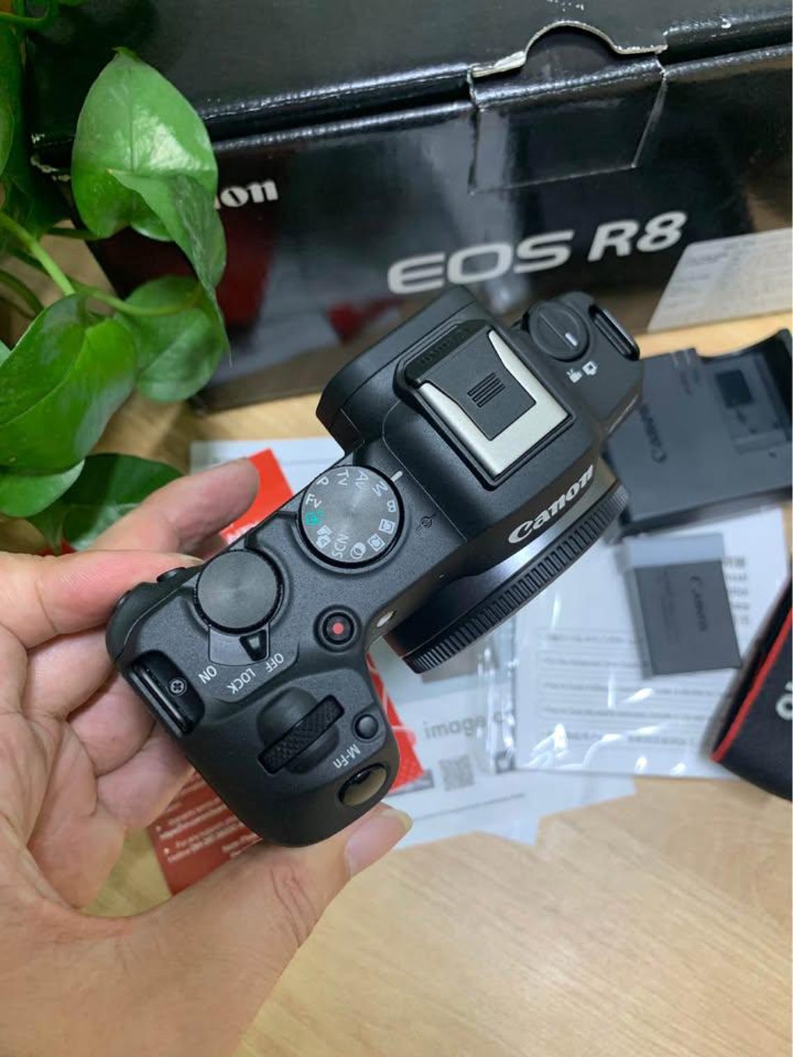 Canon EOS R8 Mirrorless Camera – Full-frame, 4K Video, Lightweight ...