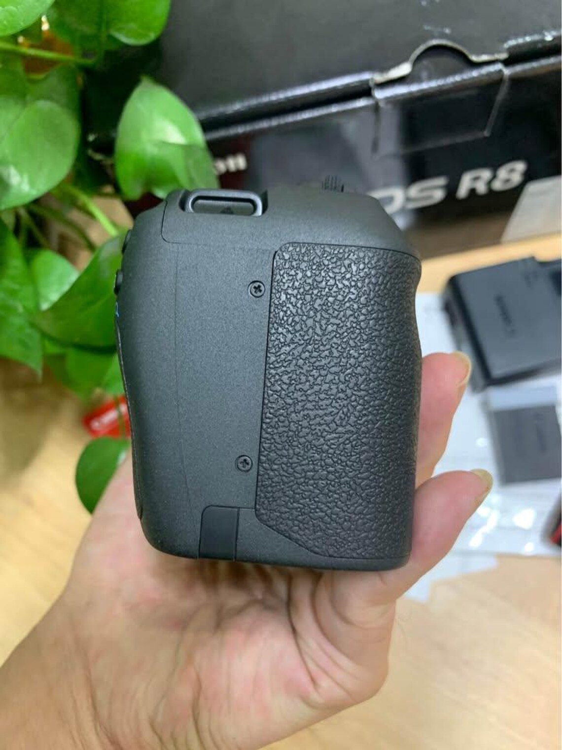 Canon EOS R8 Mirrorless Camera – Full-frame, 4K Video, Lightweight ...