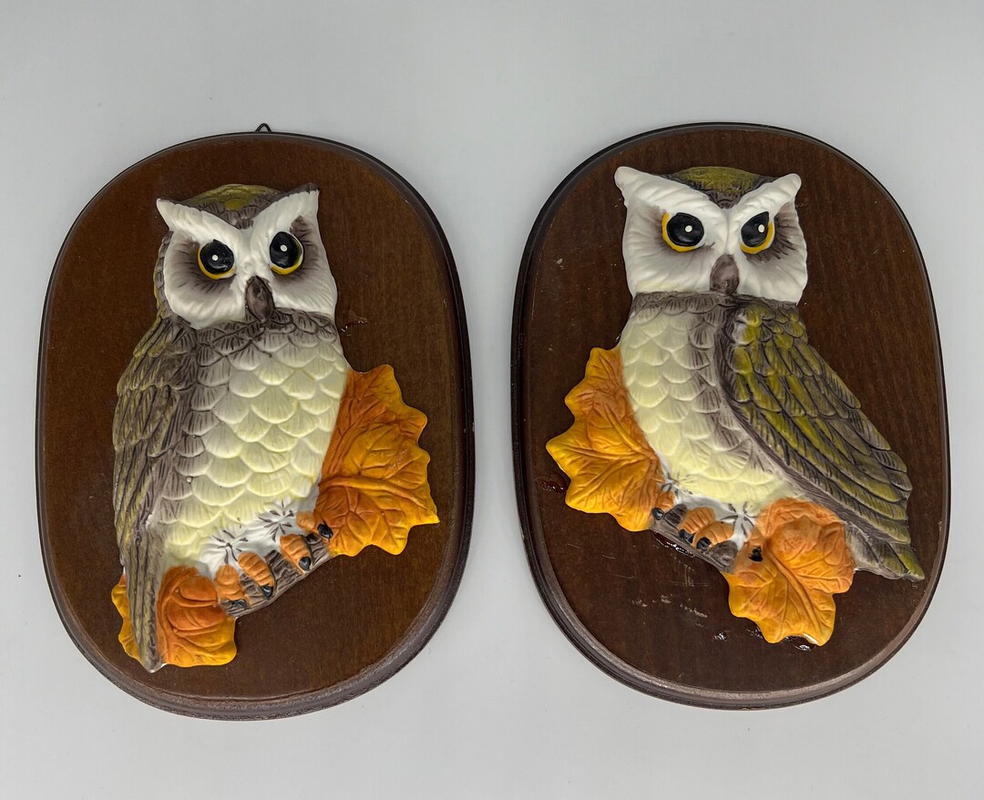 1960s Vintage Owl/ 2PC Vintage Ceramic Owl Mounted on Oval Wood Frame 7 ...