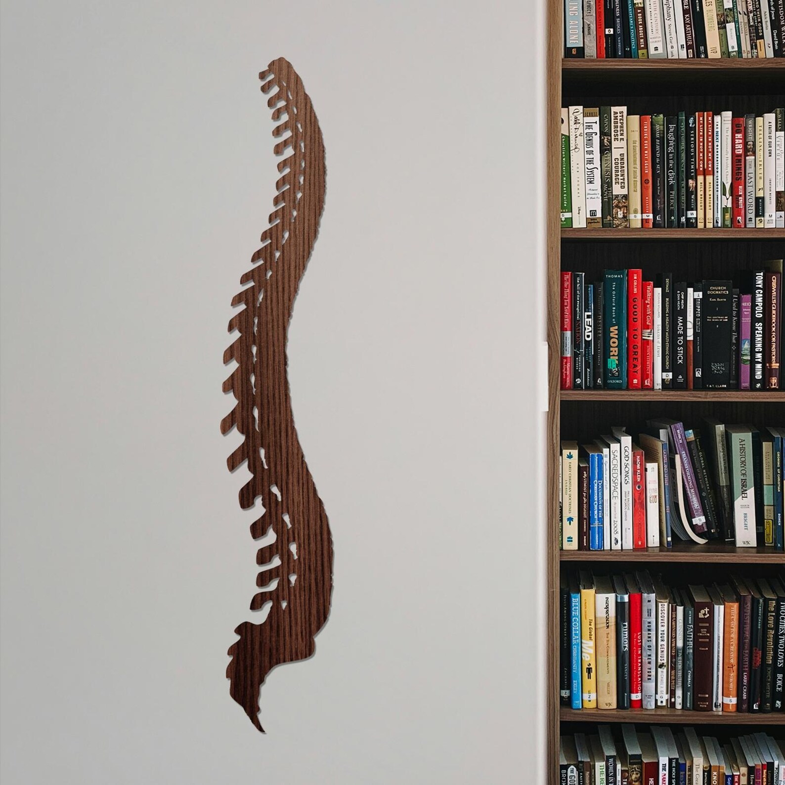 Spine Wall Decor, Wooden Spine Wall Art, Spine Wall Hanging, Human ...
