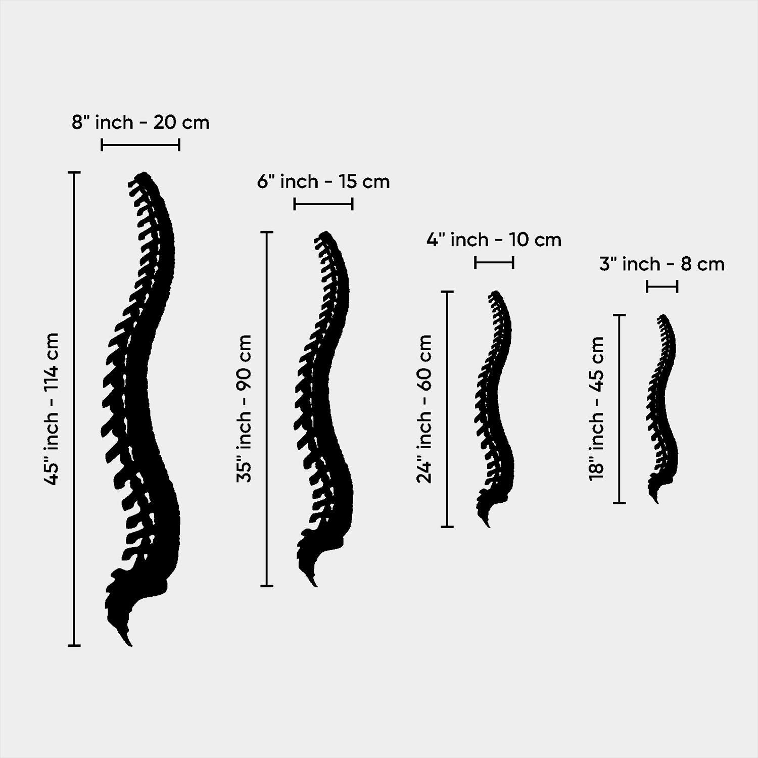 Spine Wall Decor, Wooden Spine Wall Art, Spine Wall Hanging, Human ...