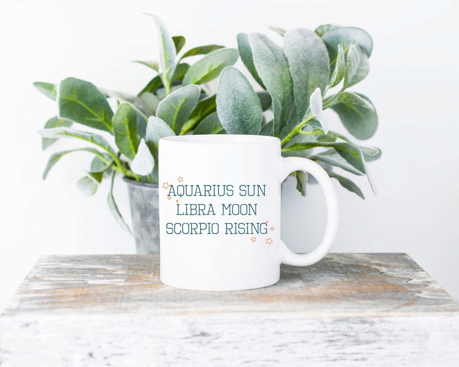 Custom Astrology Mug Personalized Zodiac Gift Horoscope - Etsy