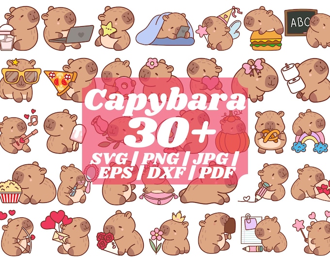 The Capy Life Sticker Set - Etsy
