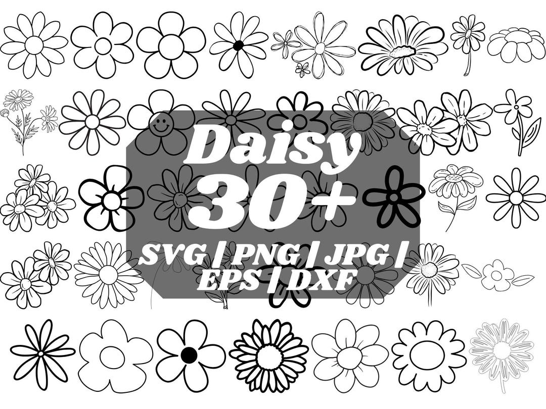 Daisy SVG Bundle: Flower Cut Files for Cricut (digital Download) - Etsy