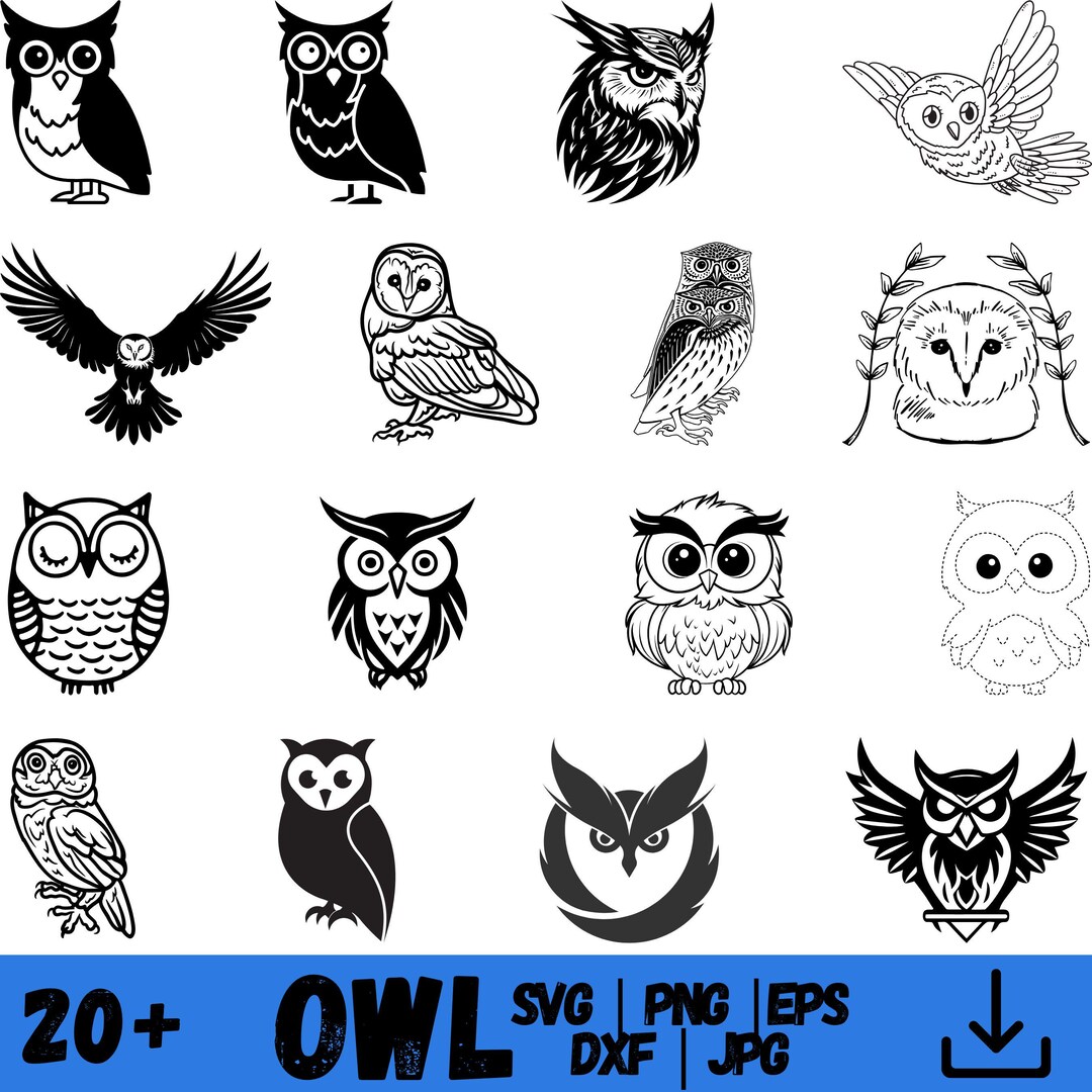 Owl Svg Bundle, Owl Designs, Clipart, Owl Png, Floral Owl Svg, Owl ...