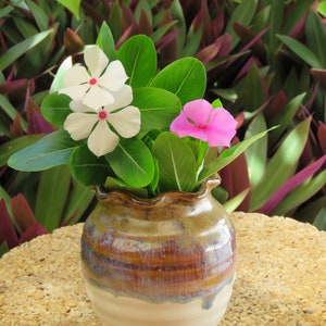 Small Pottery Fluted Edge Brown Vase - Etsy