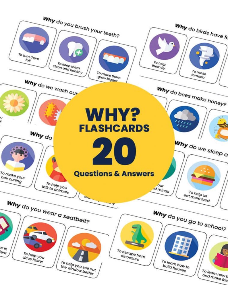 Why Questions Flash Cards and Worksheets for Kids | WH Questions Speech ...