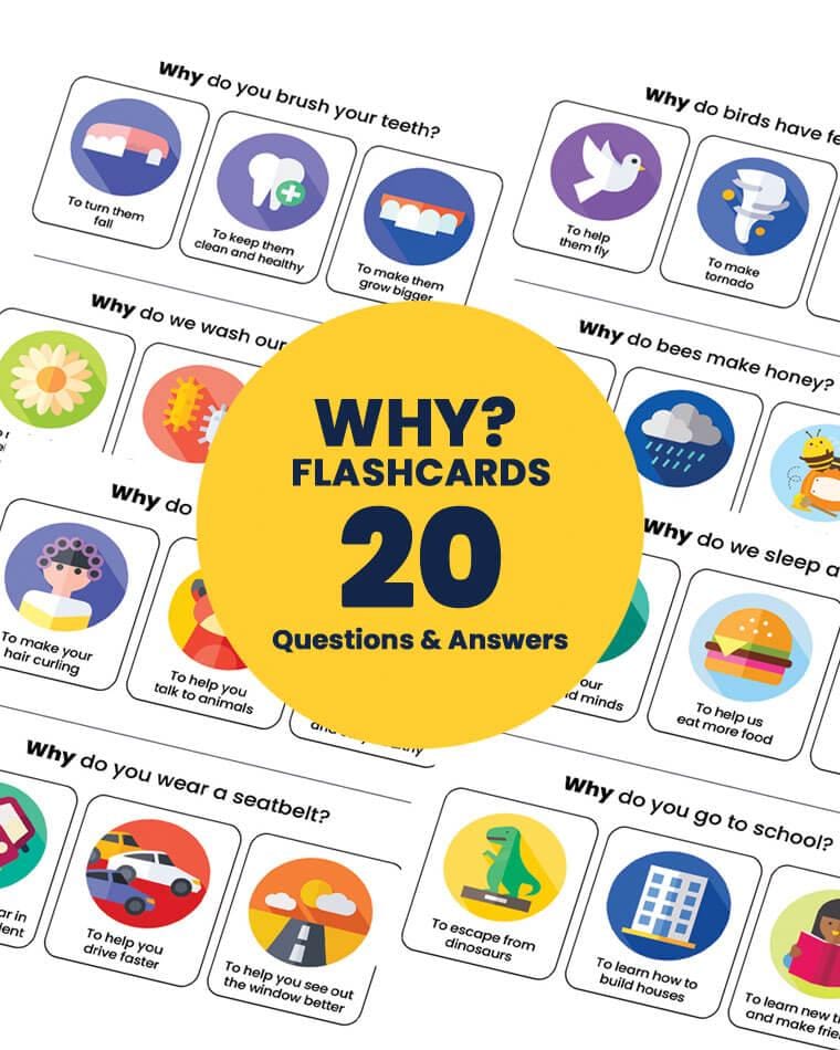 Why Questions Flash Cards and Worksheets for Kids | WH Questions Speech ...