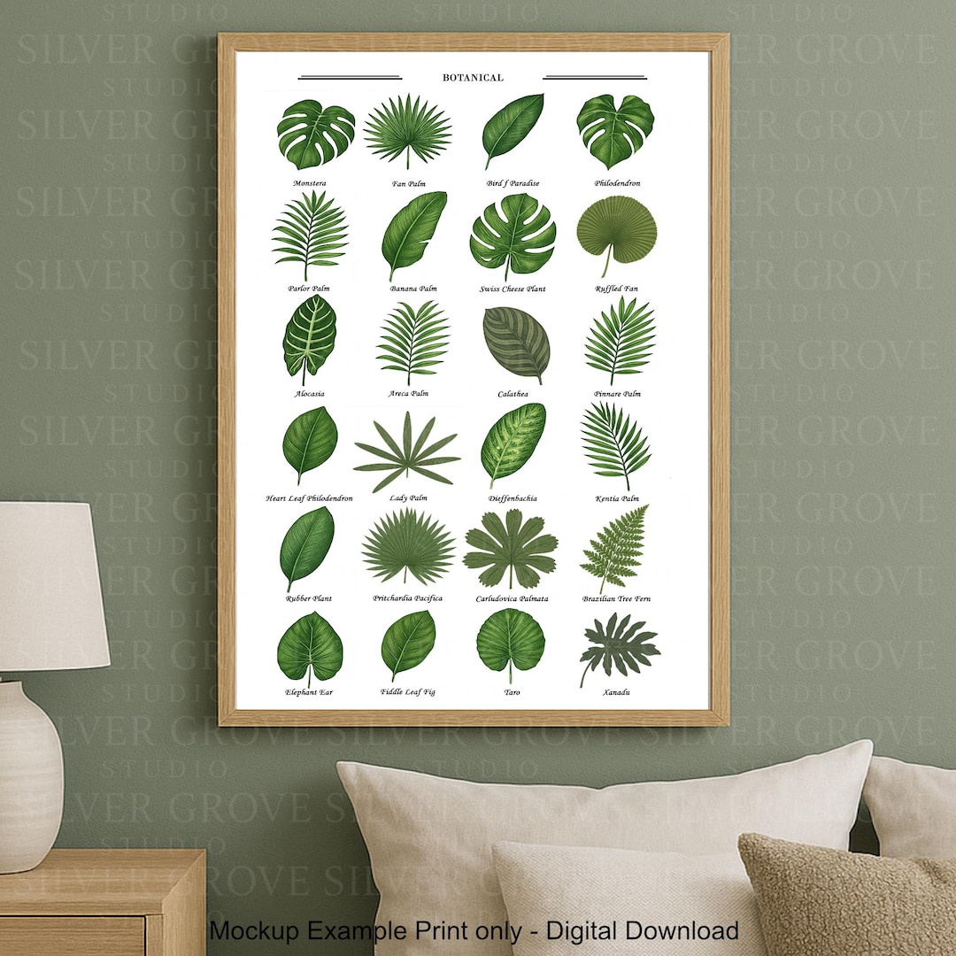 Botanical Leaves A3 Poster | Tropical Plant Leaf Chart | Printable ...